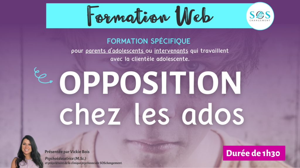 WEBINAIRE : Accompagner une personne atteinte d’un trouble de ...